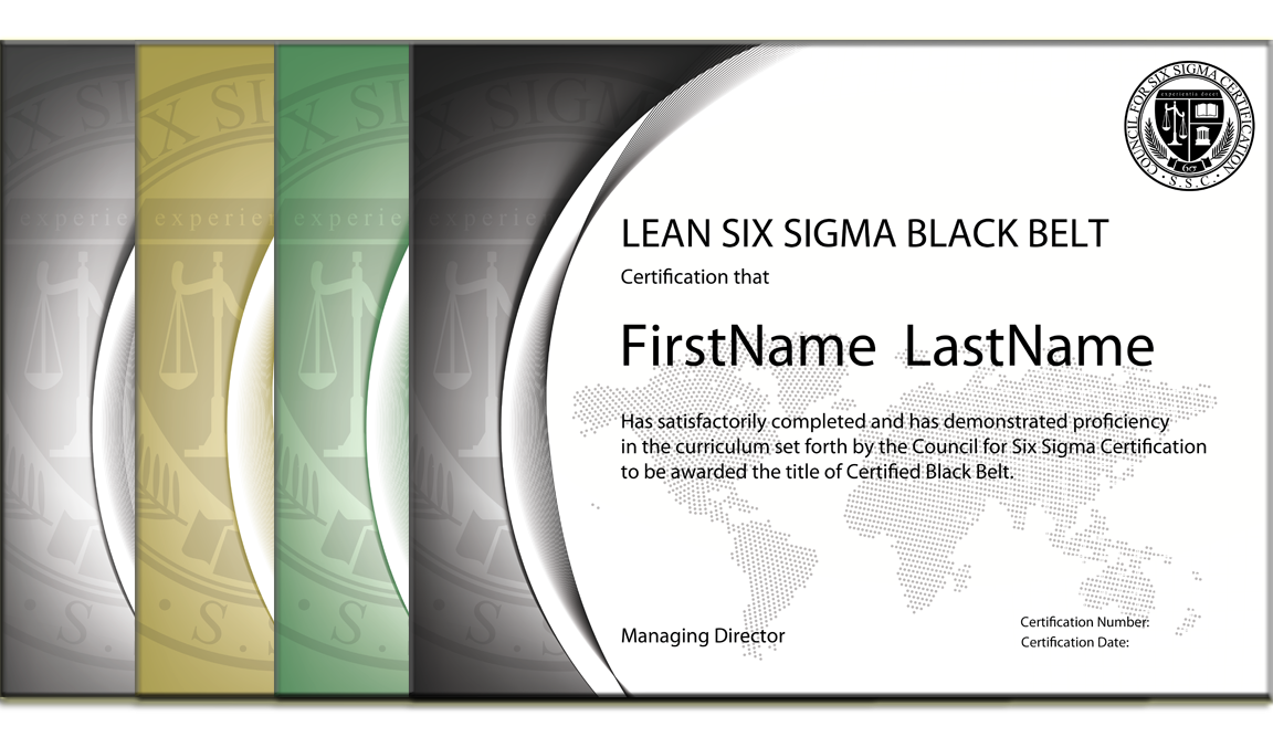 Lean Six Sigma Self-Paced Series (White, Yellow, Green, and Black Belt ...