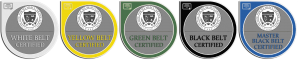 Six Sigma Badges - The Council for Six Sigma Certification