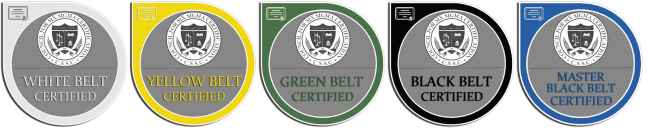Six Sigma Badges - The Council for Six Sigma Certification